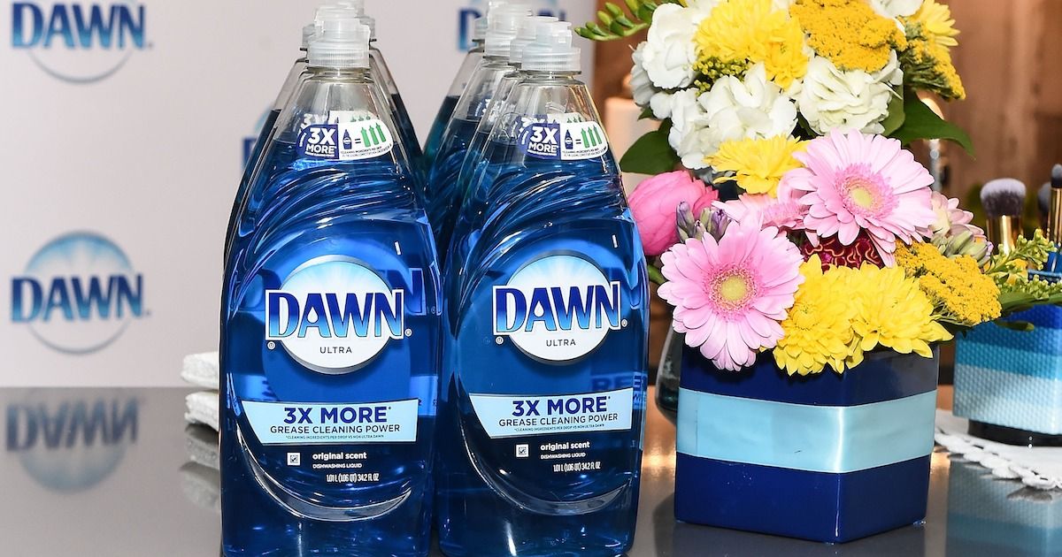 Dawn Dish Soap Hacks for Everyday Household Use